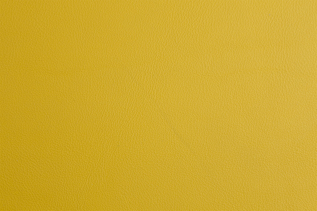 Firenze - Lemon Chiffon - Alma