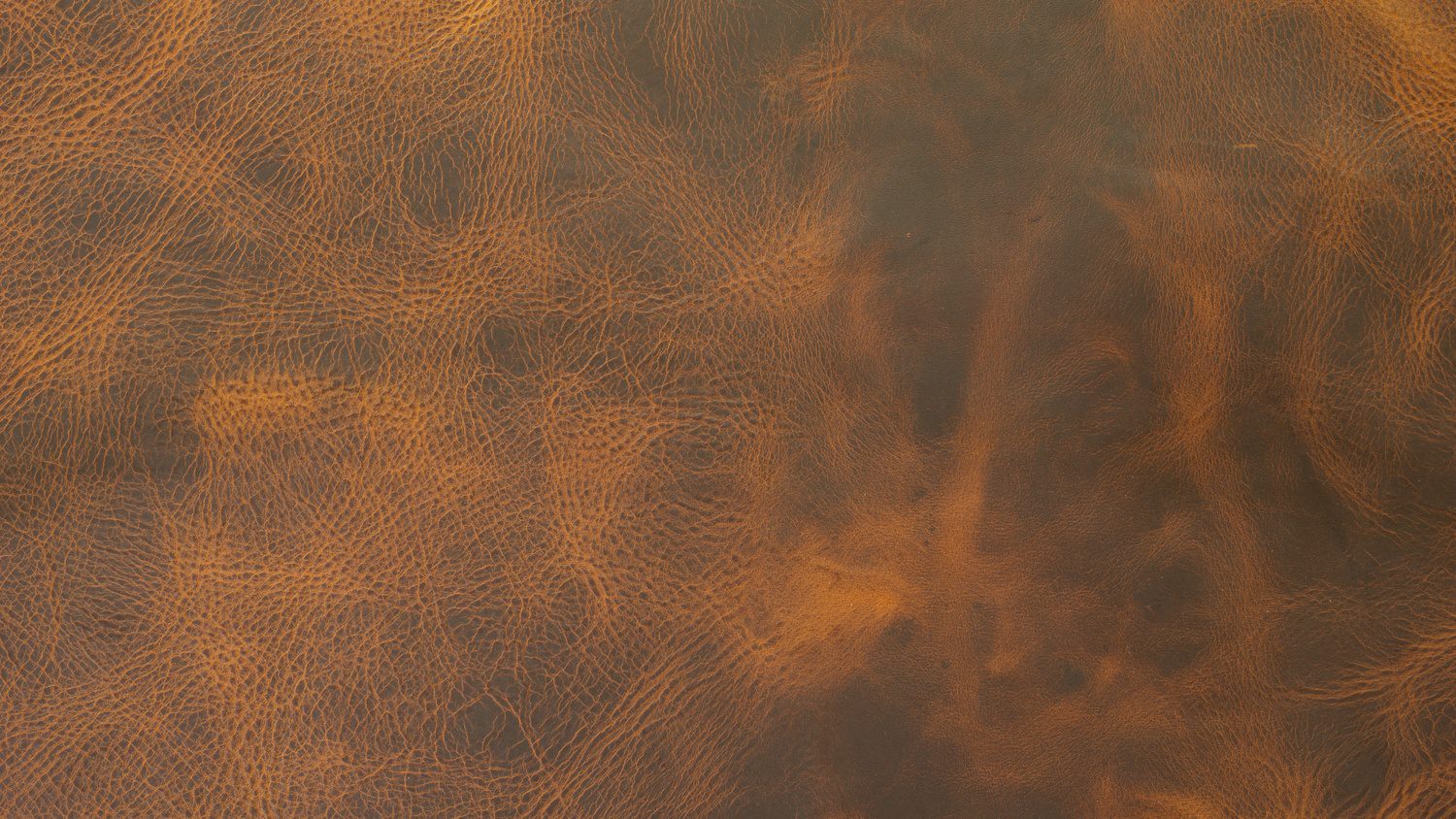 Storm - Cognac - Alma