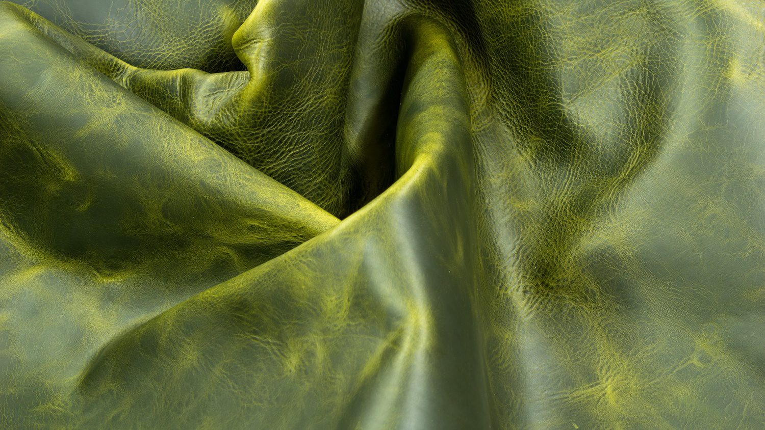 Storm - Forest - Alma