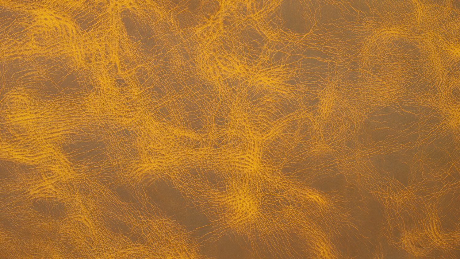 Storm - Mustard - Alma